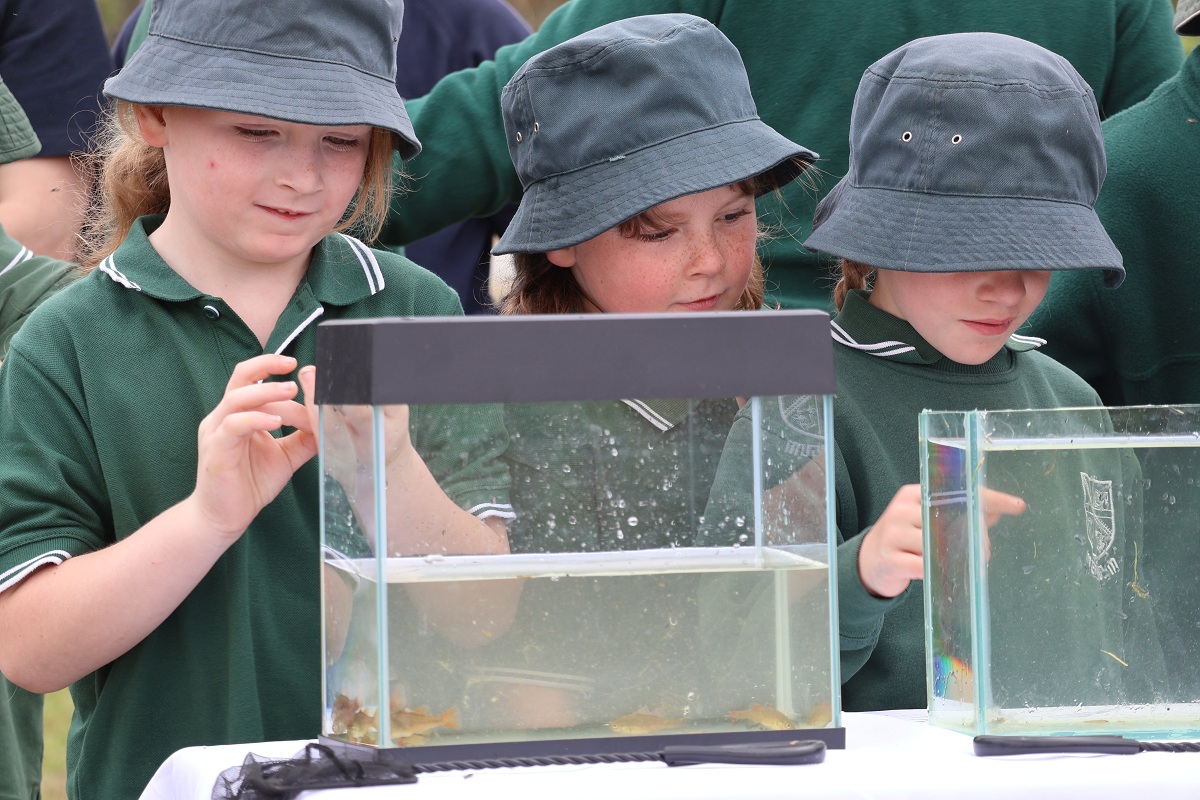 Zombie Fish call Merrigum fishing ponds home | Goulburn Valley Water
